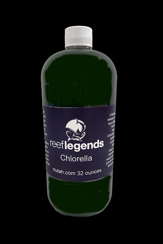 Chlorella for culturing – Reef Legends