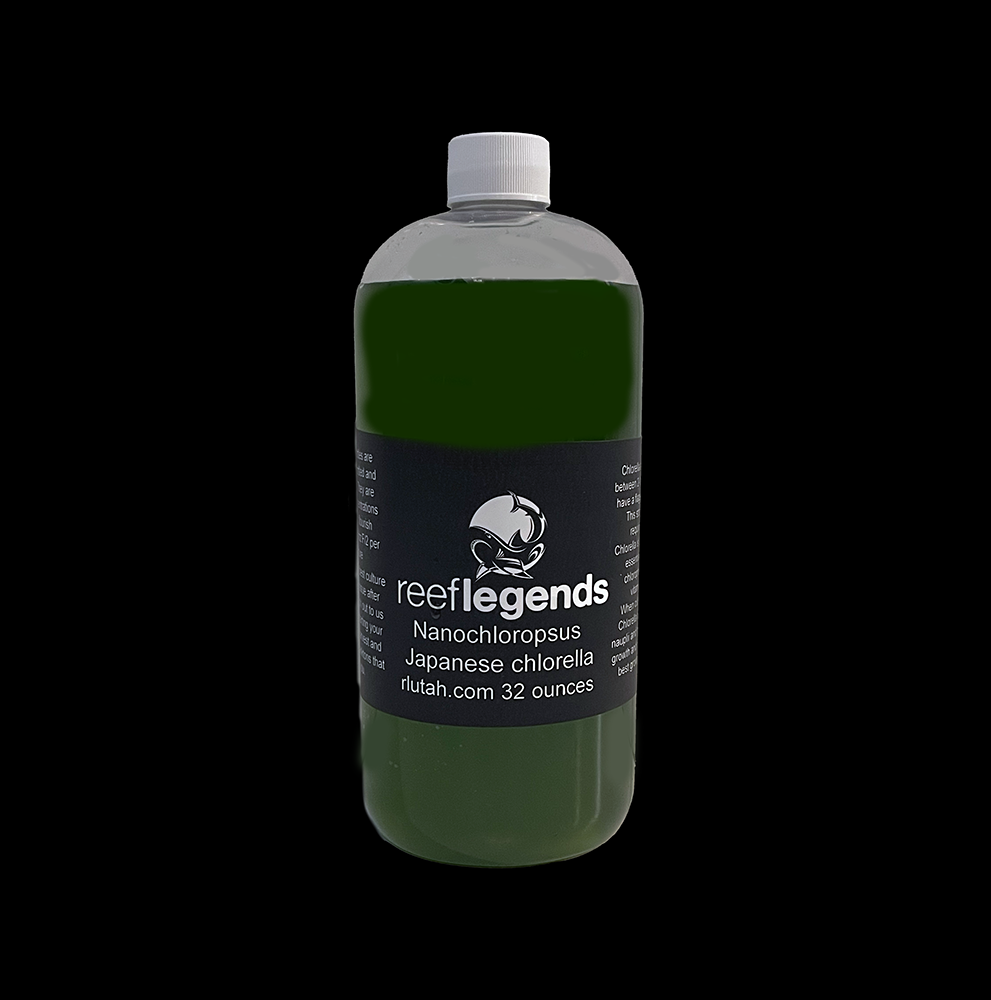 Nanochloropsus Japanese chlorella – Reef Legends