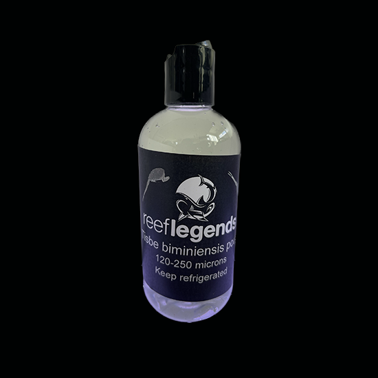 Tisbe biminiensis copepods – Reef Legends