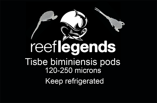 Live rotifers, pods and brine shrimp – Reef Legends